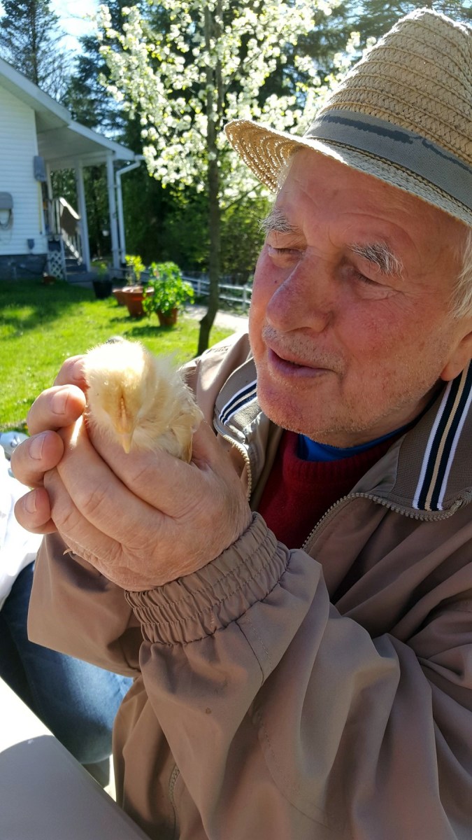 The Bells are Tolling – Carmen Bugan